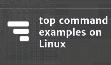 10 Examples of Linux ss Command - Monitor Network Connections - BinaryTides