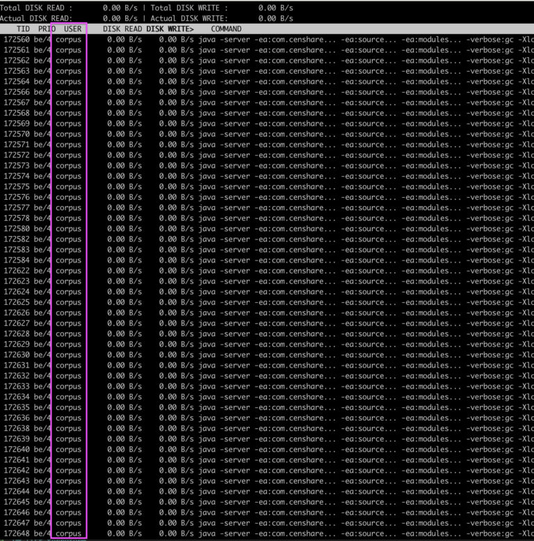 Examples Of Iotop Command In Linux Monitor Disk Inputoutput Per Process Binarytides