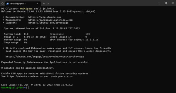 How to use Multipass on Windows to create Ubuntu virtual machines - BinaryTides
