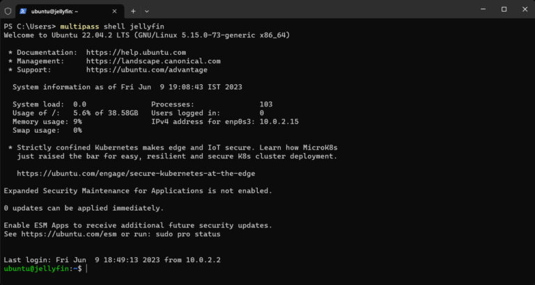 How to use Multipass on Windows to create Ubuntu virtual machines - BinaryTides
