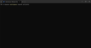 How to use Multipass on Windows to create Ubuntu virtual machines - BinaryTides